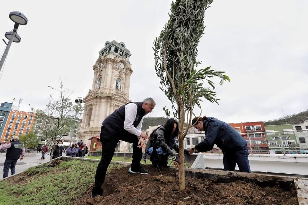 Pachuca tiene más oxígeno por los programas de reforestación de la ... Pachuca tiene más oxígeno por los programas de reforestación de la ...